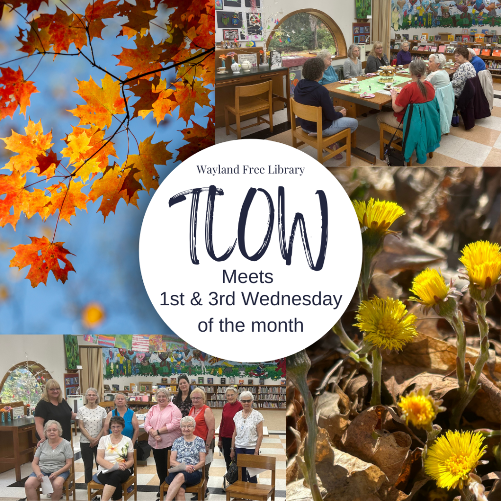 Events from November 21 – December 4 – Wayland Free Library